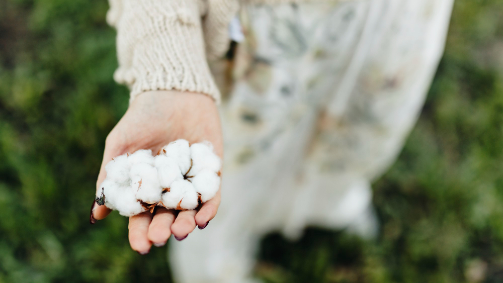 Why Cotton is the Perfect Choice for Everyday Comfort